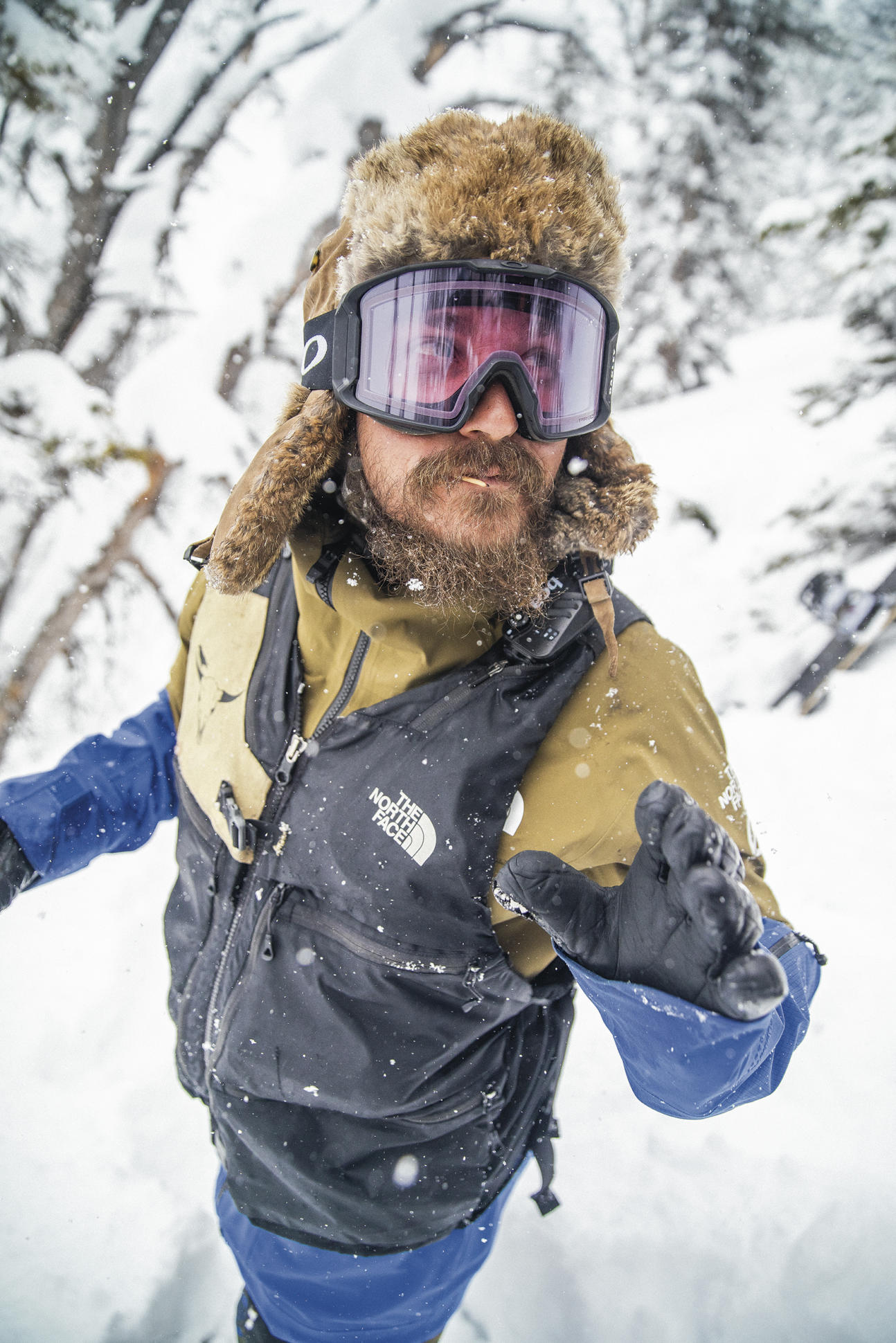 Inside the Pro Model: Mark Carter and the Arbor Clovis and Cypress ...